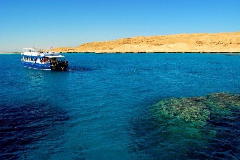 10 facts about the Red Sea - Pictolic