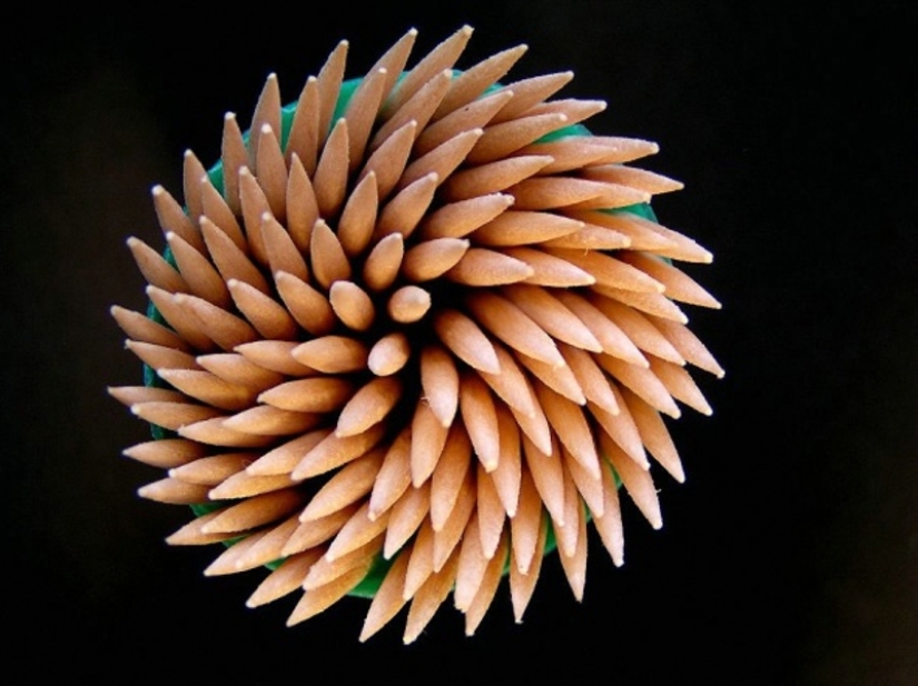 25 photos representing an unusual look at familiar objects - Pictolic