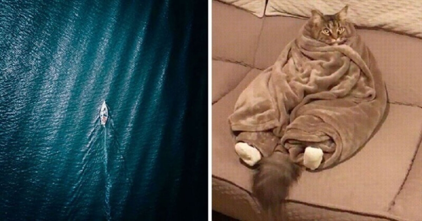 35 photos where you can see something completely different from what is ...