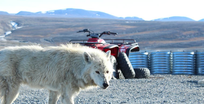 The 10 most inaccessible places on the planet - Pictolic