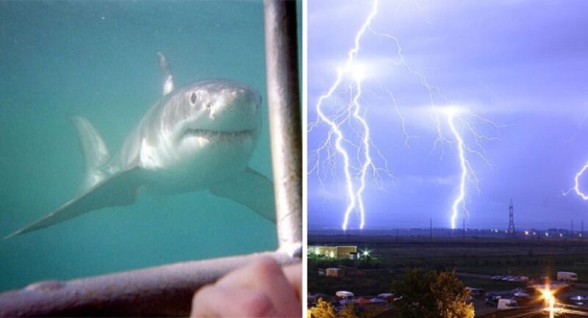 30 amazing facts that will blow your brain! - Pictolic