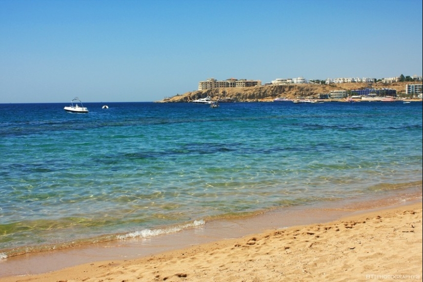 10 datos sobre el Mar Rojo - Pictolic